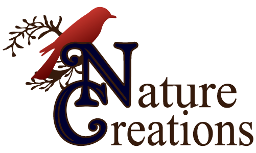 Nature Creations – Unique Folk Art Birdhouses